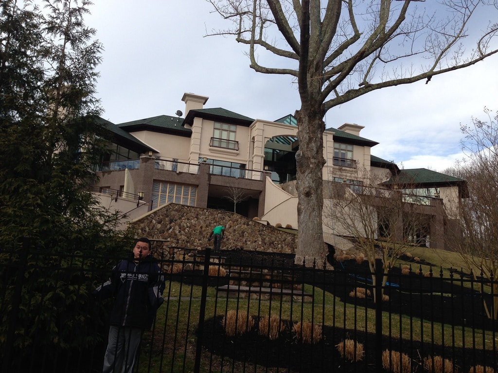 Famous Trees in Popular Culture | Nelson Tree Specialist