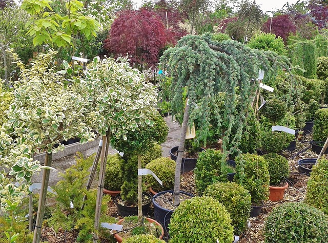 Selecting Your New Trees | Nelson Tree Specialist