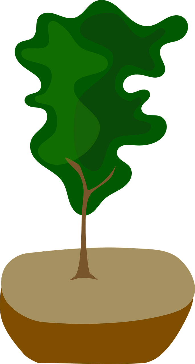 Planting and Caring for New Trees - Nelson Tree Specialist