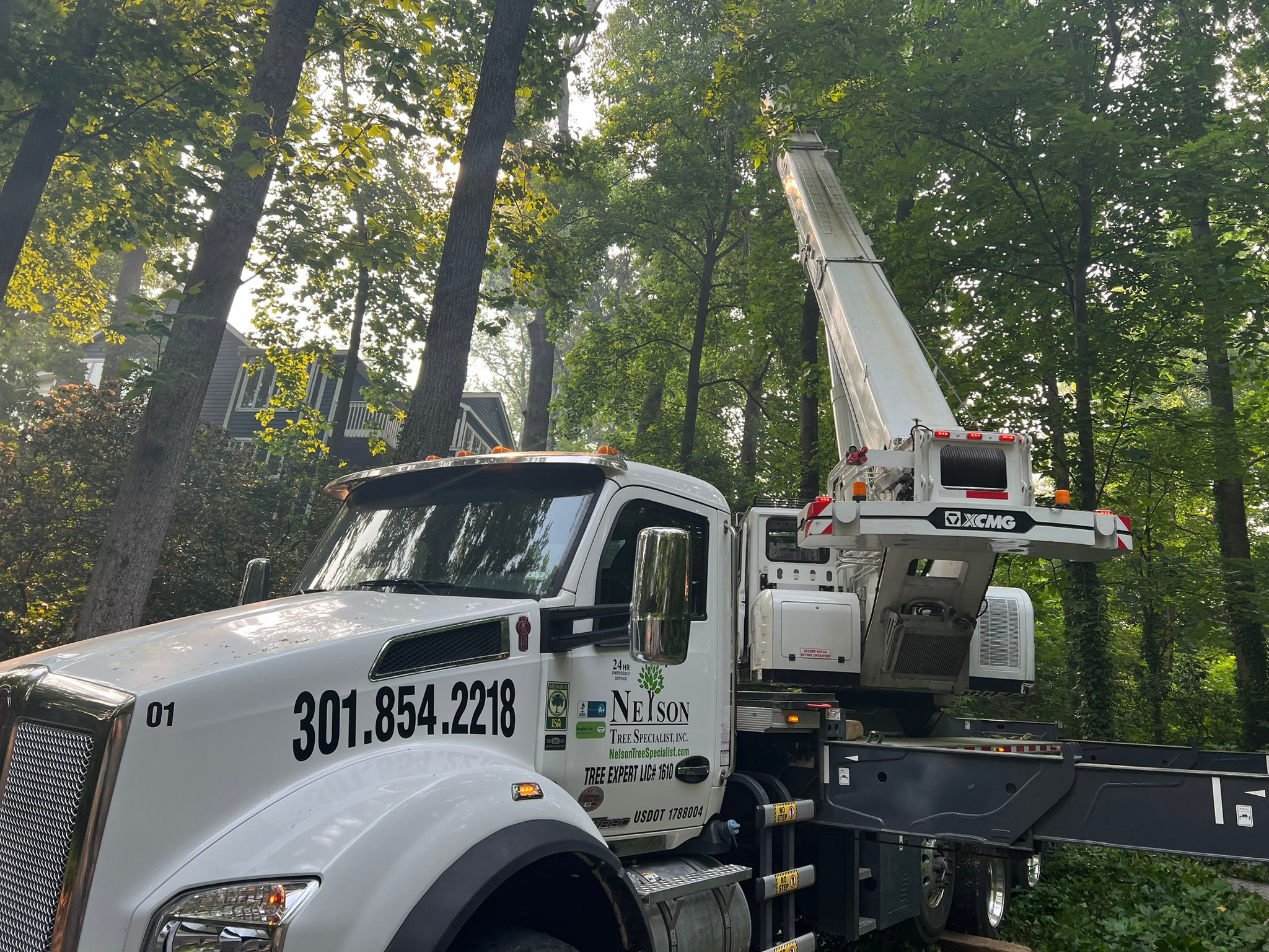 "Efficient Tree Service: Utilizing a Big Crane for Hassle-free Log and ...