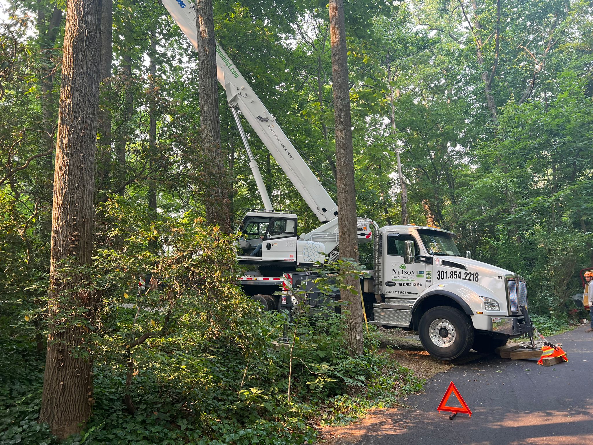 "Efficient Tree Service: Utilizing a Big Crane for Hassle-free Log and ...